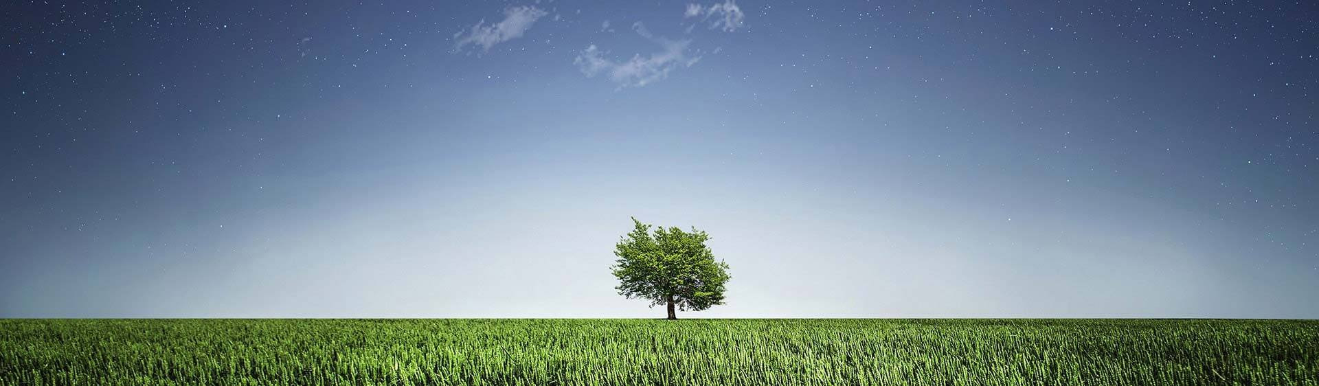 Welcome to Satva Biotech